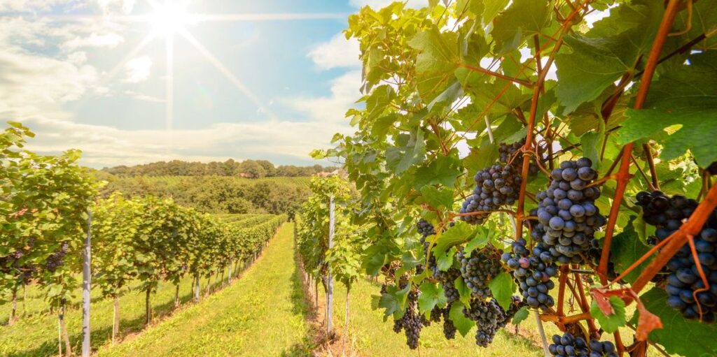 Visit Tuscany in Spring - Discover Tuscany | Our Journal