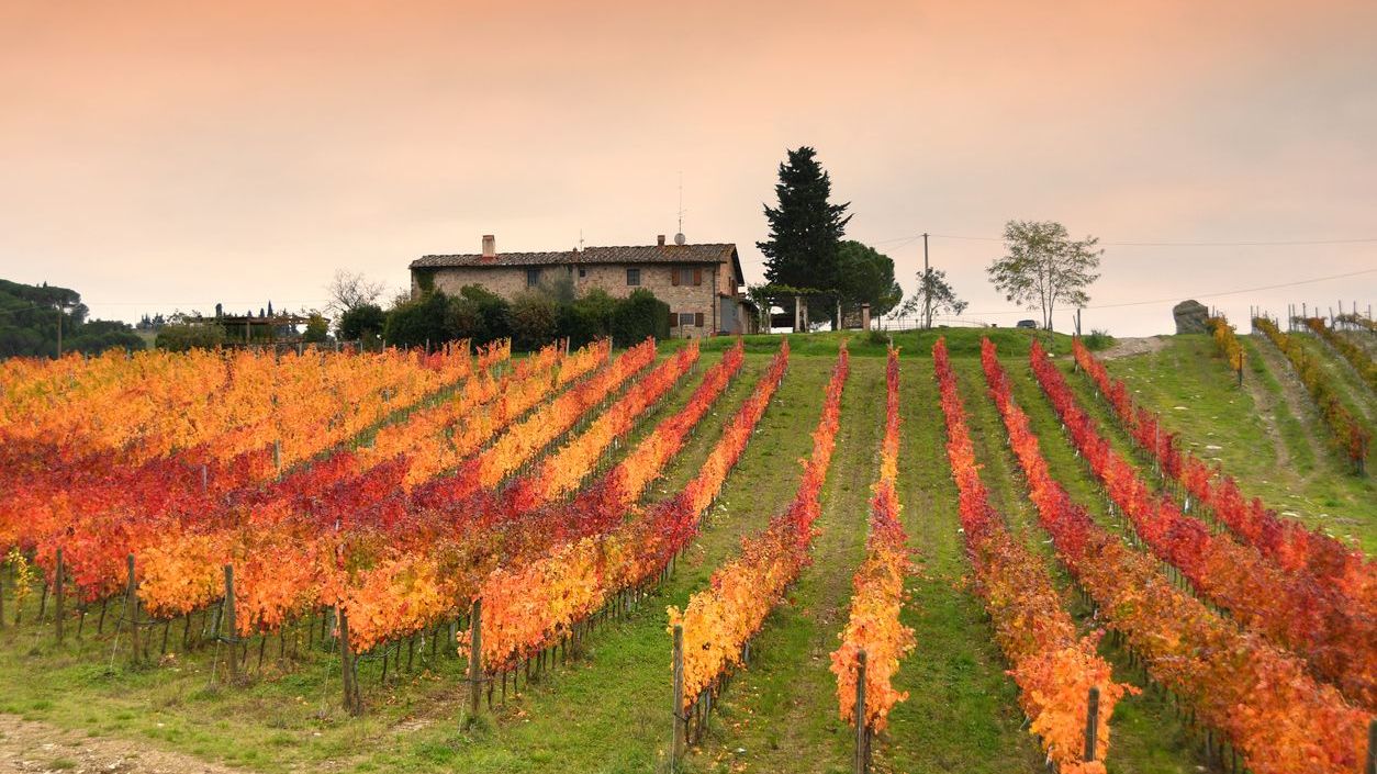 Enjoy Tuscany in November - Discover Tuscany | Our Journal