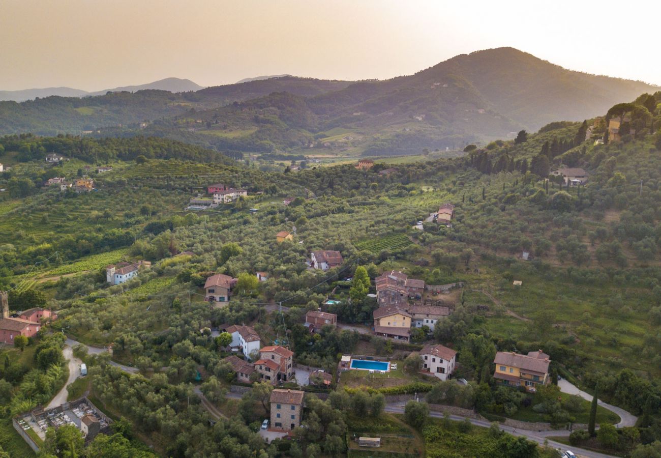 Villa Arsina - Villas in Lucca